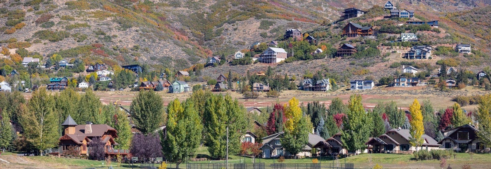 Best Trees for Utah’s Climate & Elevation | LaytonScape